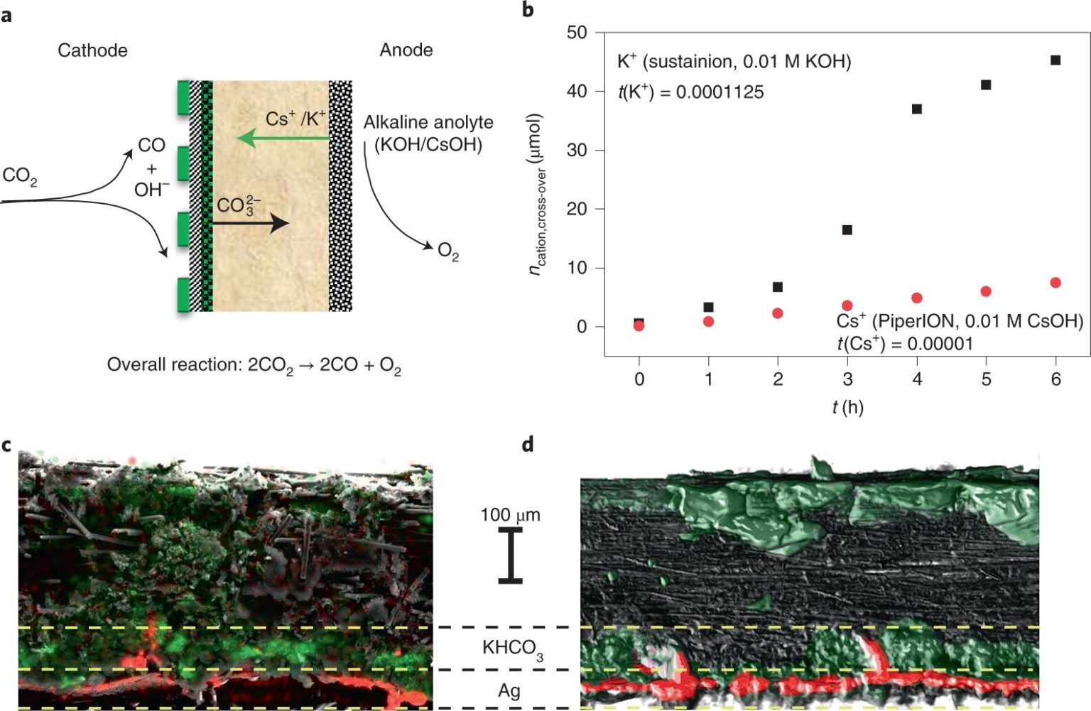 A zero-gap gas diffusion electrode-based electrolyzer with improved ...