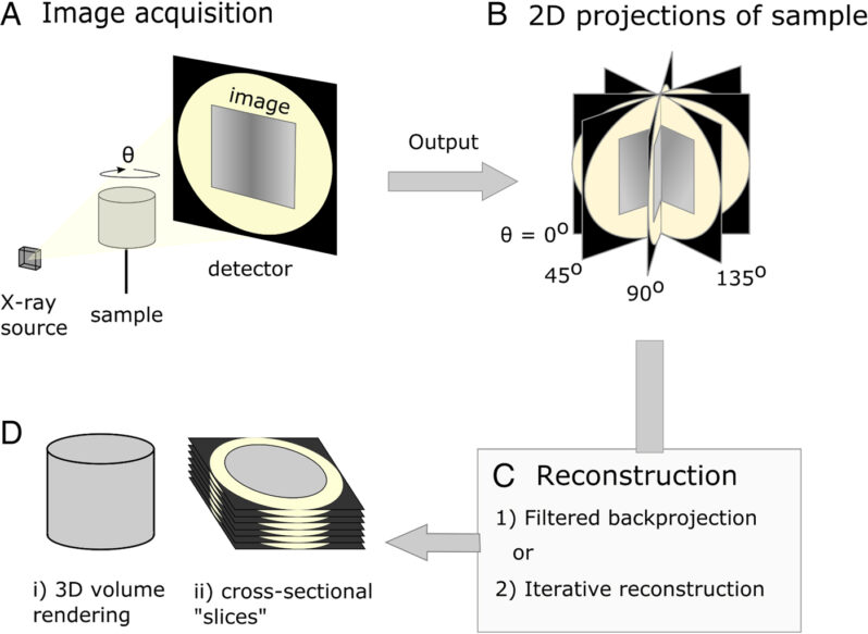 Advances in micro-computed tomography - Tech and Science Post