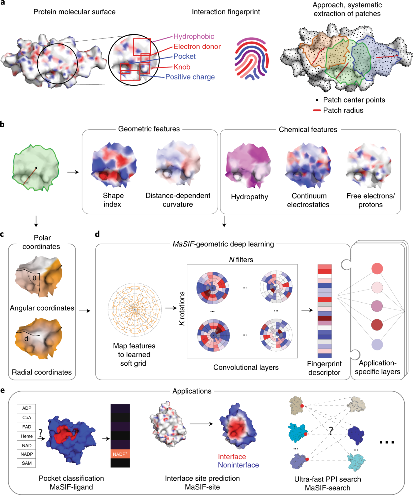 'Fingerprint' machine learning technique identifies different bacteria ...