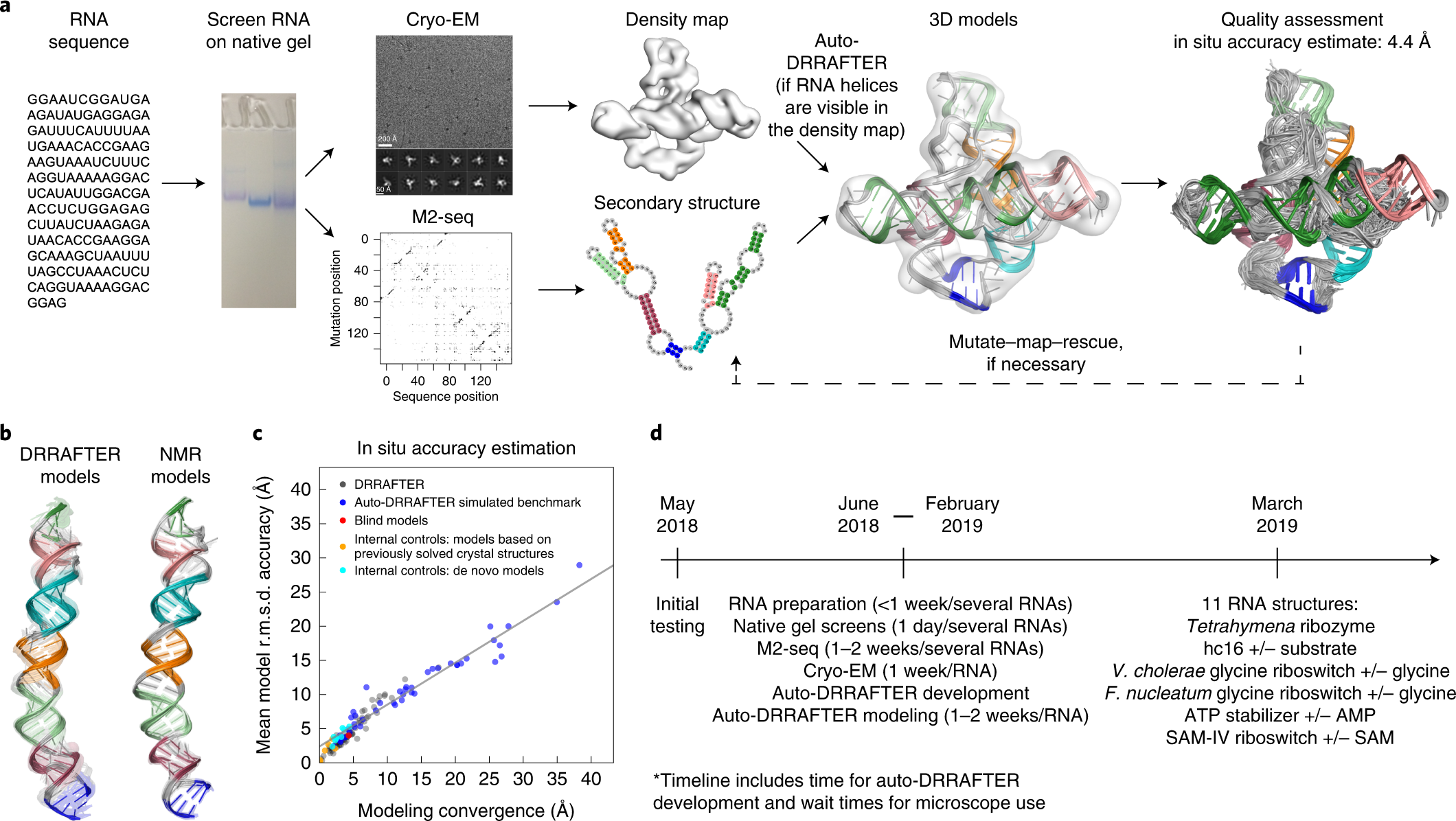 With cryo-EM, scientists determine structure of key factor in RNA ...