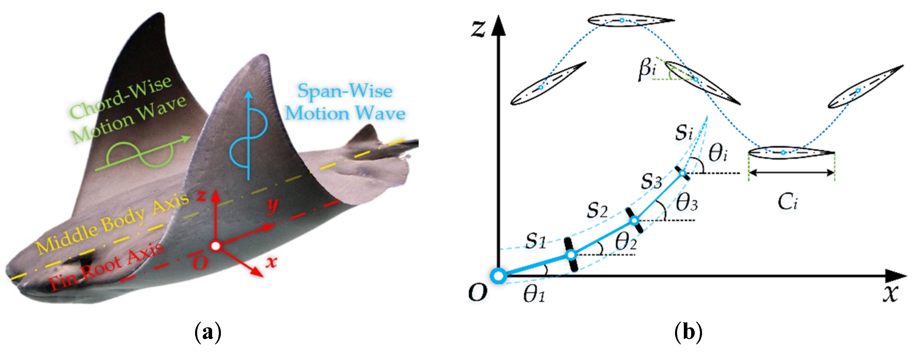 Bionic underwater vehicle inspired by fish with enlarged pectoral fins ...