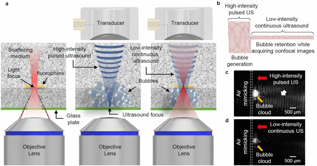 Medical optical imaging using the world's first 'ultrasound-induced ...