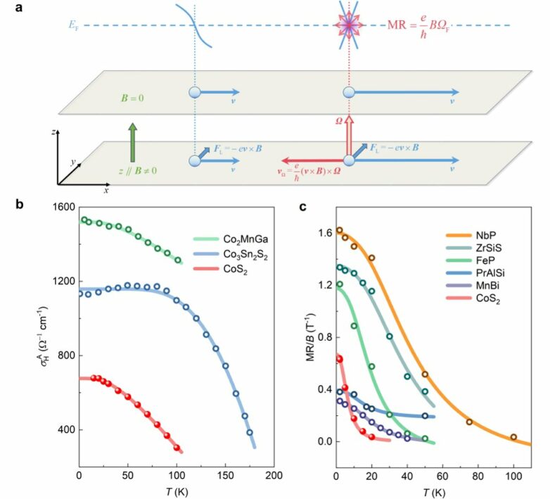 Experiment unveils Berry curvature mechanism for linear positive ...