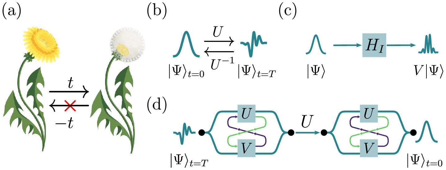 How to reverse unknown quantum processes - Tech and Science Post