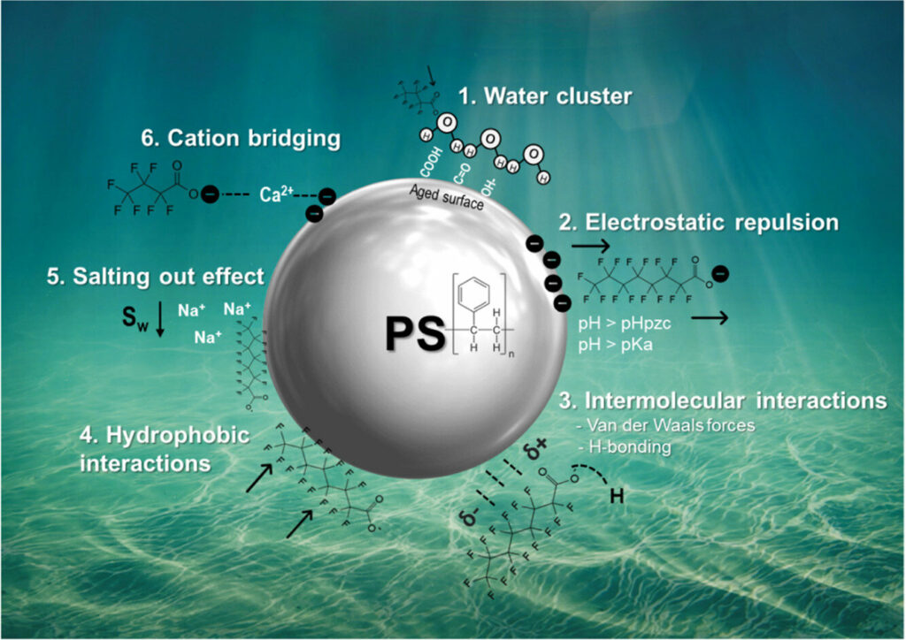 New model for predicting adsorption of PFAS by microplastics - Tech and Science Post