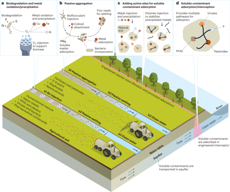 Passive ecosystem services, juxtaposed with engineered processes, can ...