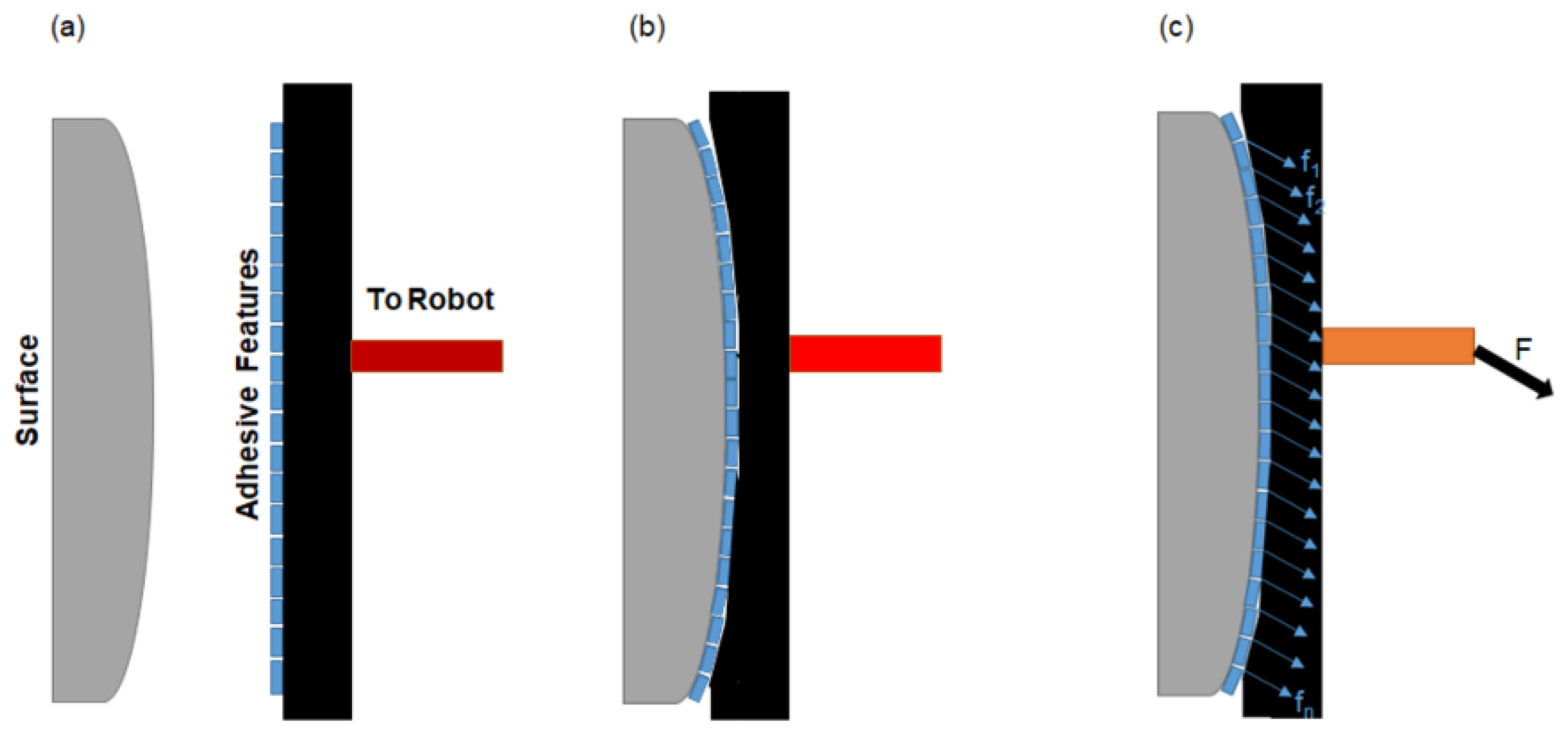 Wet surface? No problem for gecko adhesion based robot - Tech and Science Post