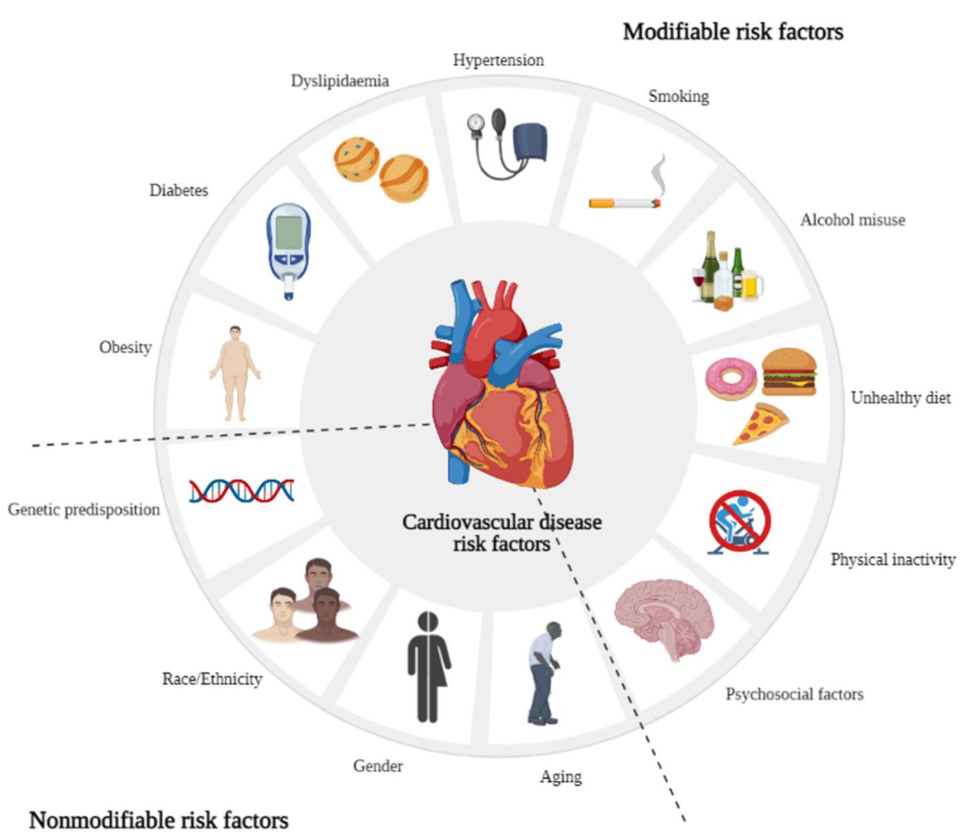 Modifiable risk factors found to be responsible for half of cardiovascular diseases - Tech and ...