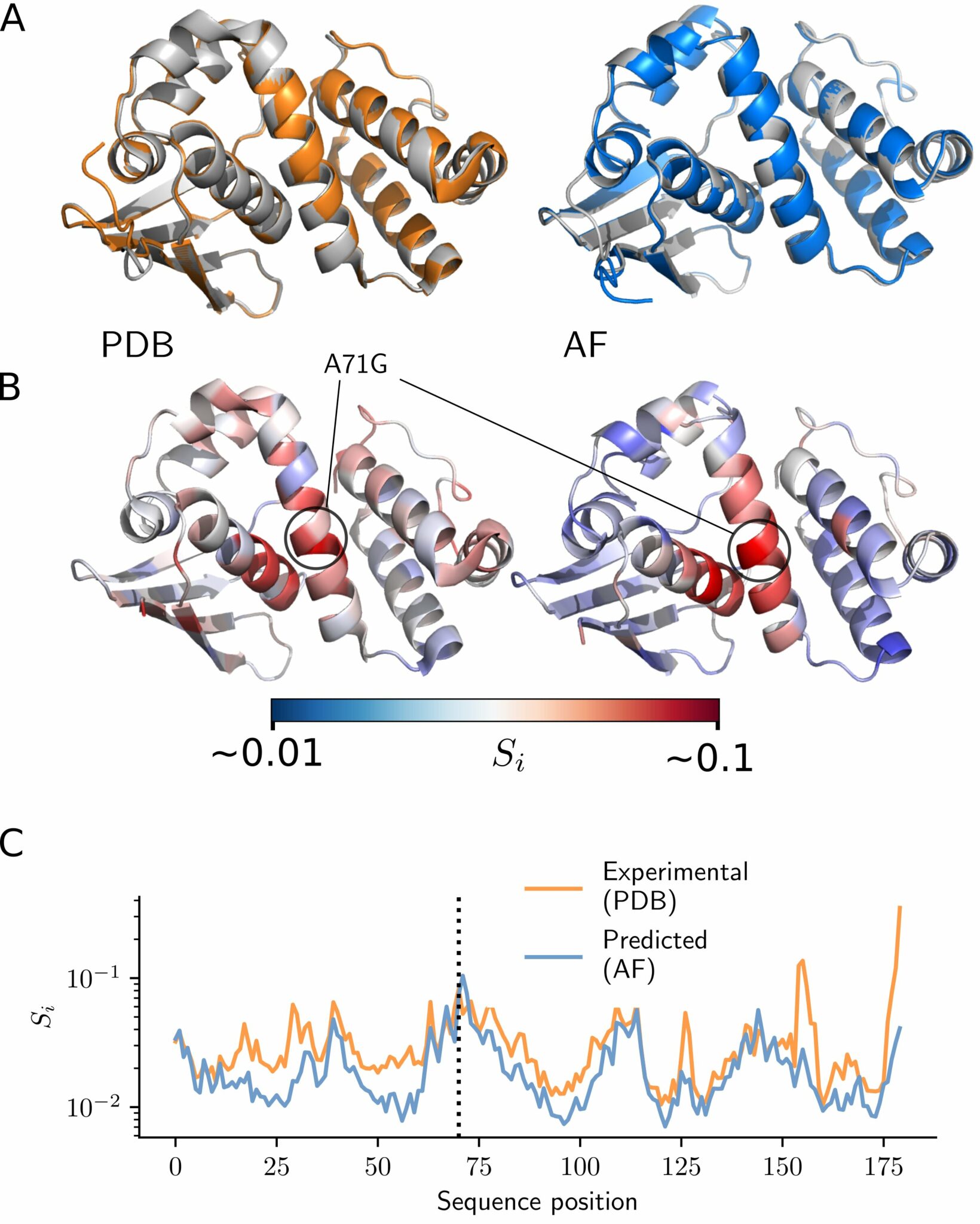 Testing the limits of AlphaFold2's accuracy in predicting protein ...
