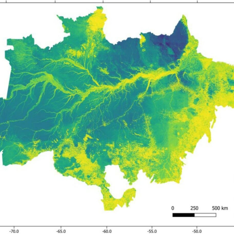 A new map shows all above-ground biomass in the Brazilian Amazon - Tech ...