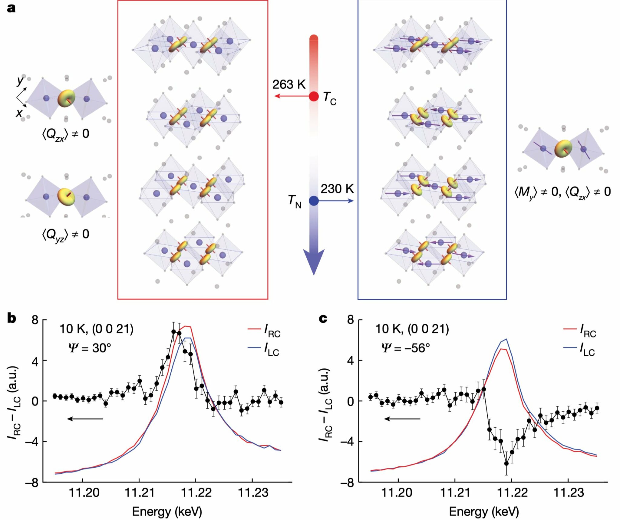 Discovery of magnetic liquid crystal: First direct observation of spin ...