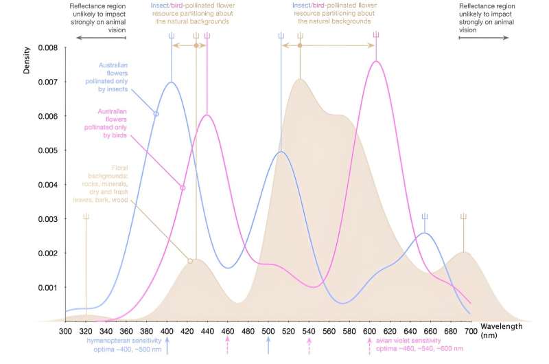 The first flowers evolved before bees—so how did they become so ...