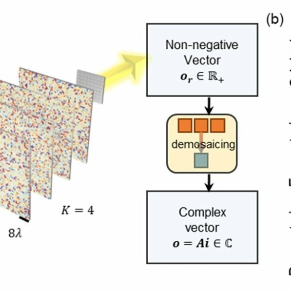 Performing complex-valued linear transformations using spatially ... Performing complex-valued linear transformations using spatially ...