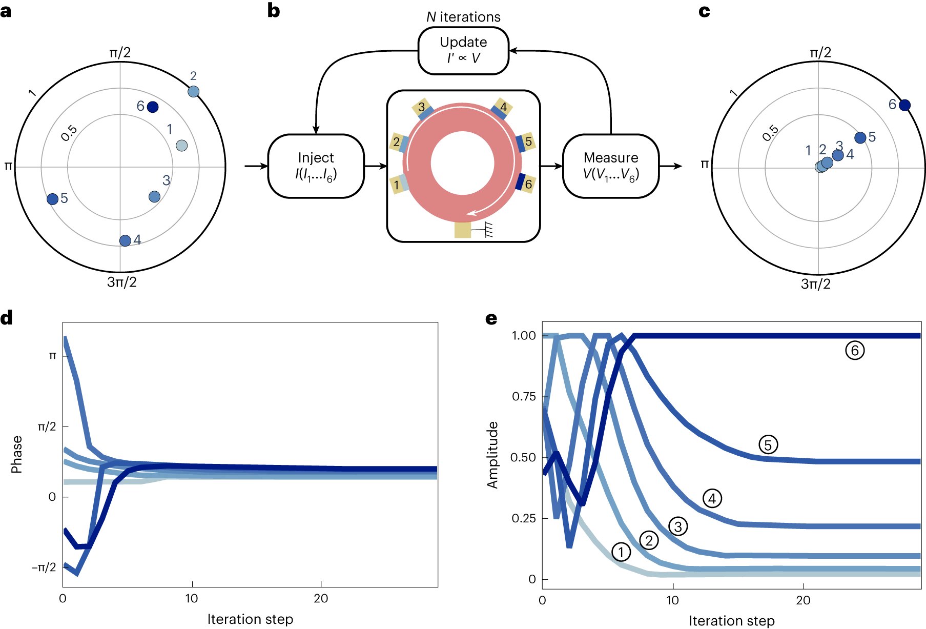 Quantum physicists develop robust and ultra-sensitive topological ...