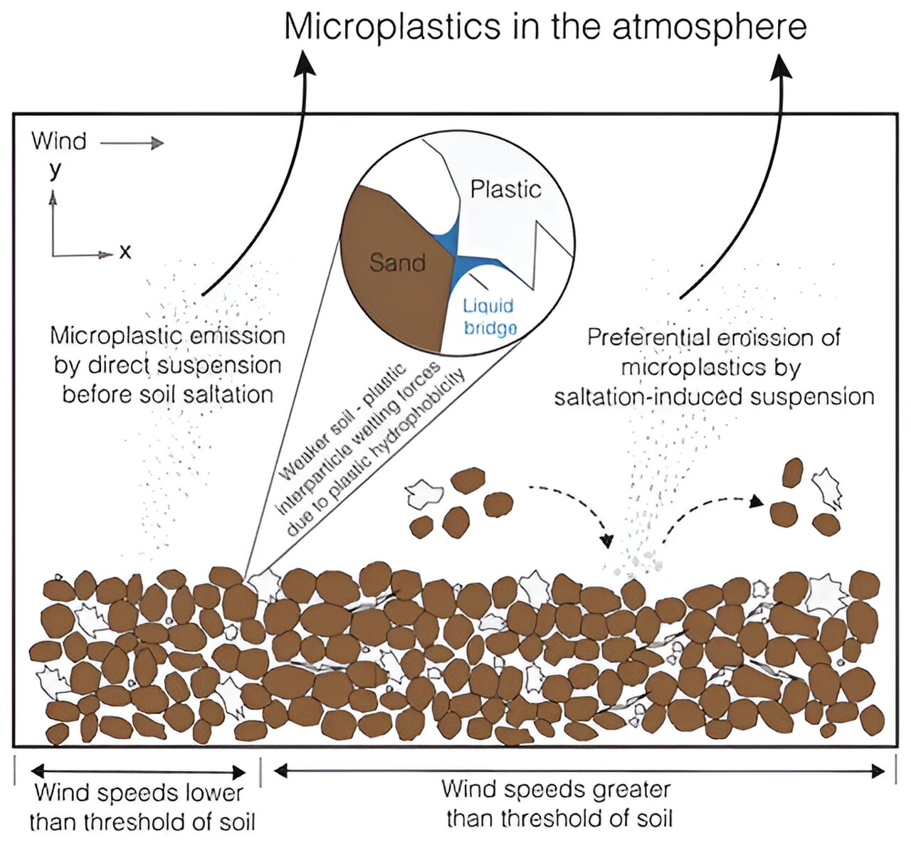 Small-scale study finds microplastics from natural fertilizers are ...