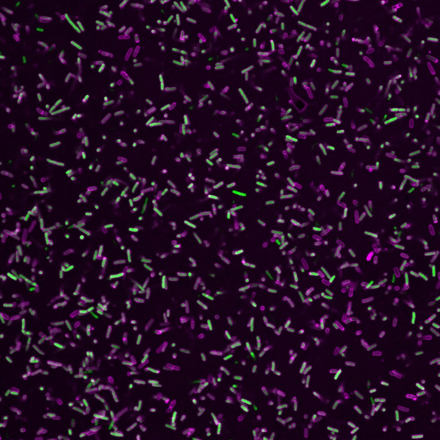 Research proposes a self-powered movable seawall for tsunami protection ...