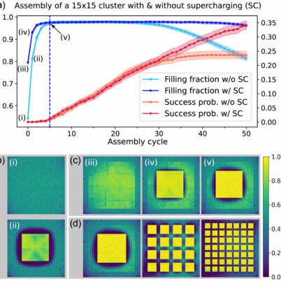 A new record for atom-based quantum computers: 1,000 atomic qubits and ...