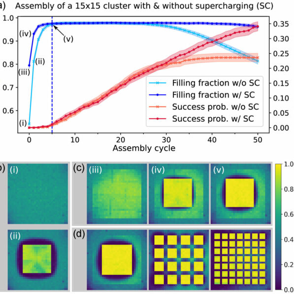 A new record for atom-based quantum computers: 1,000 atomic qubits and ...
