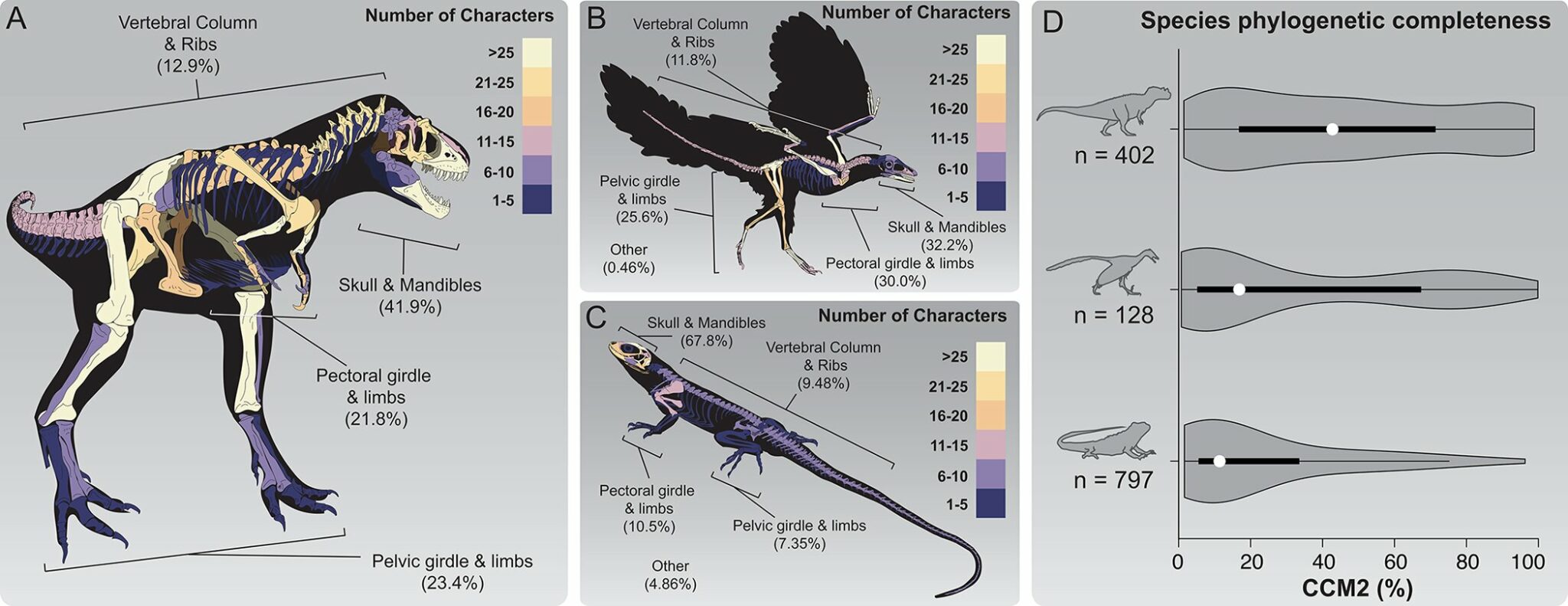 How great fossil sites shape our understanding of evolutionary ...
