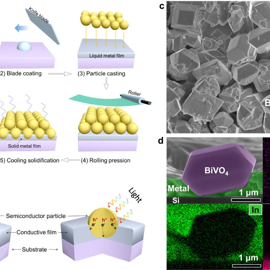 Scientists develop liquid metal-embraced photoactive films for ...