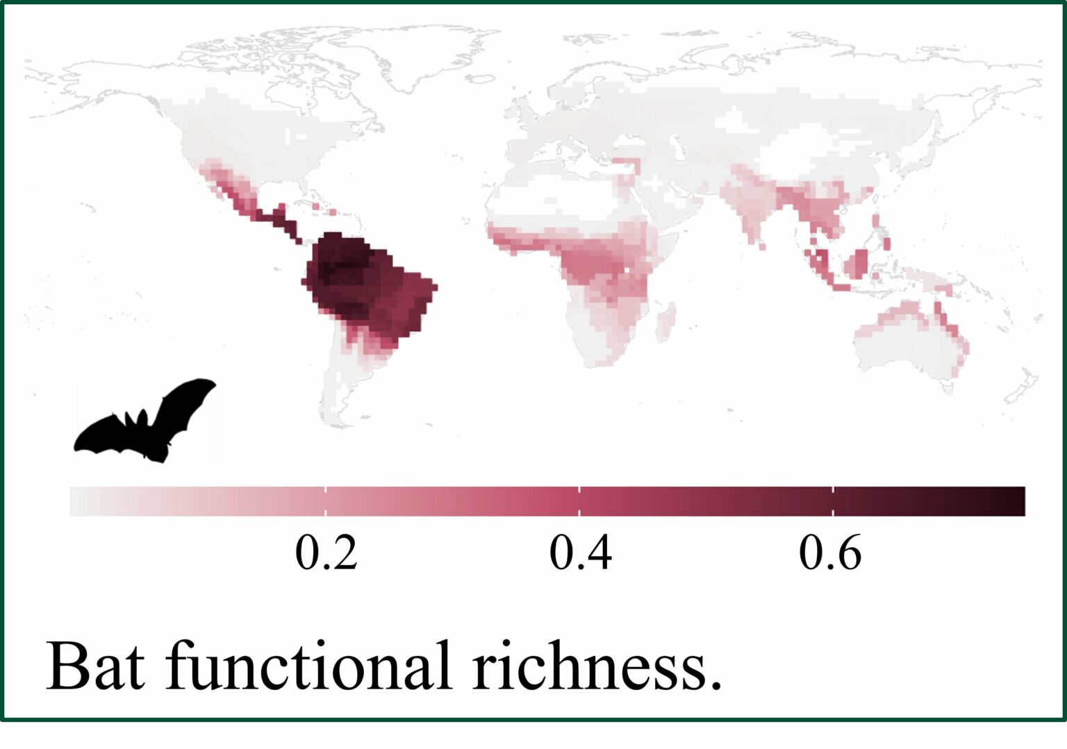 Ancient isolation's impact on modern ecology: How deep biogeographic ...