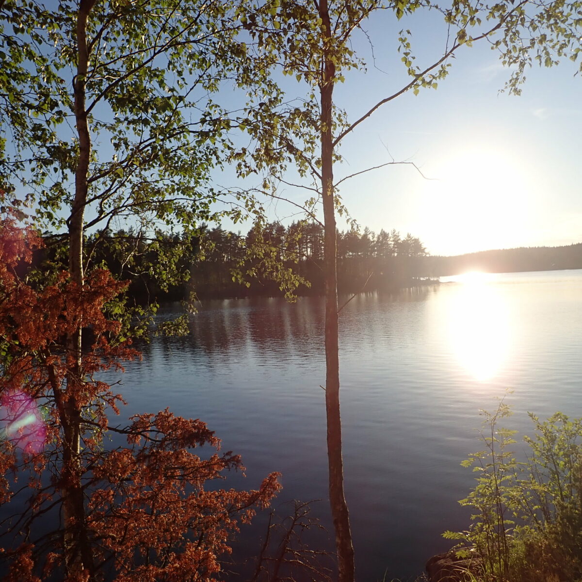 New approach to monitoring freshwater quality can identify sources of ...