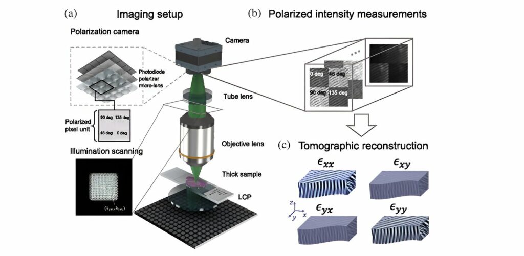 Polarization-sensitive tomography made easy with tensorial tomographic ...