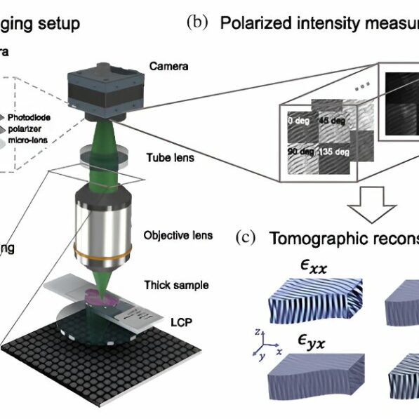 How to read a jellyfish's mind - Tech and Science Post