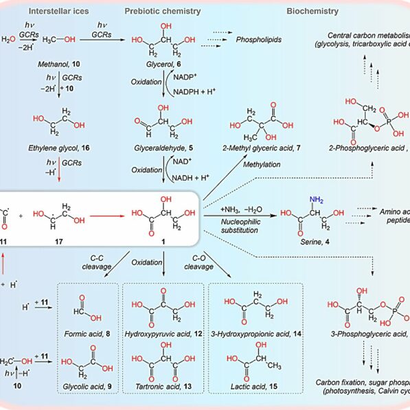 Unraveling the origins of life: Scientists discover 'cool' sugar acid ...