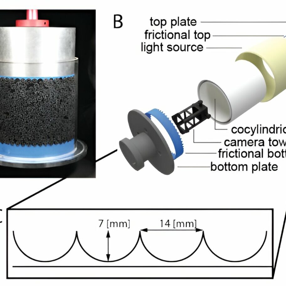 Easy compression, easy flow: Research team designs new granular ...