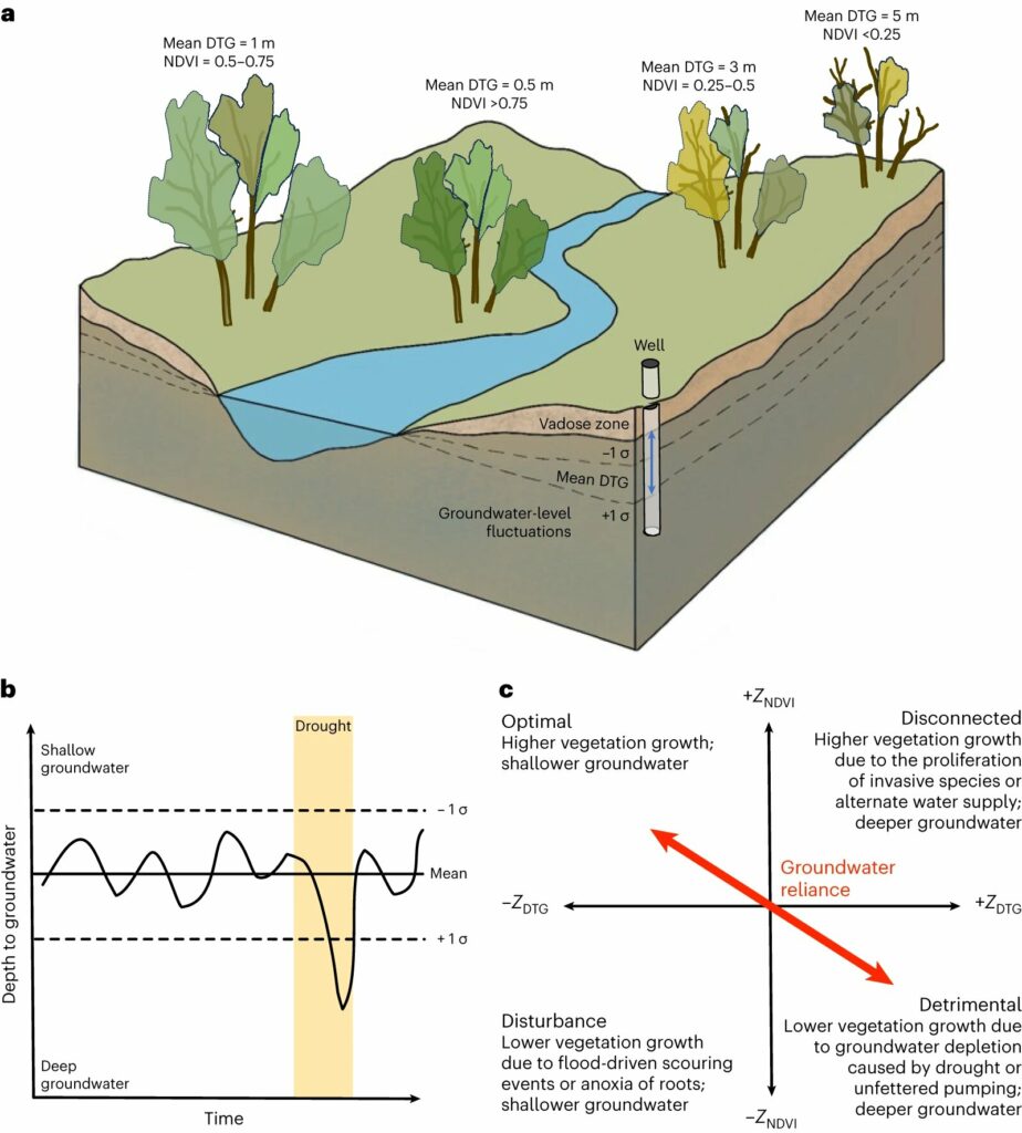 Examining groundwater's role in ecosystem sustainability - Tech and ...
