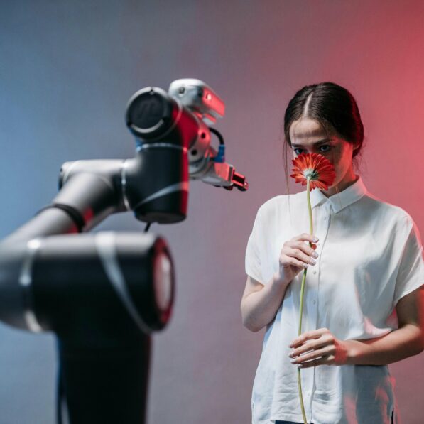 Albedo can reduce climate benefit of tree planting: New tool identifies ...