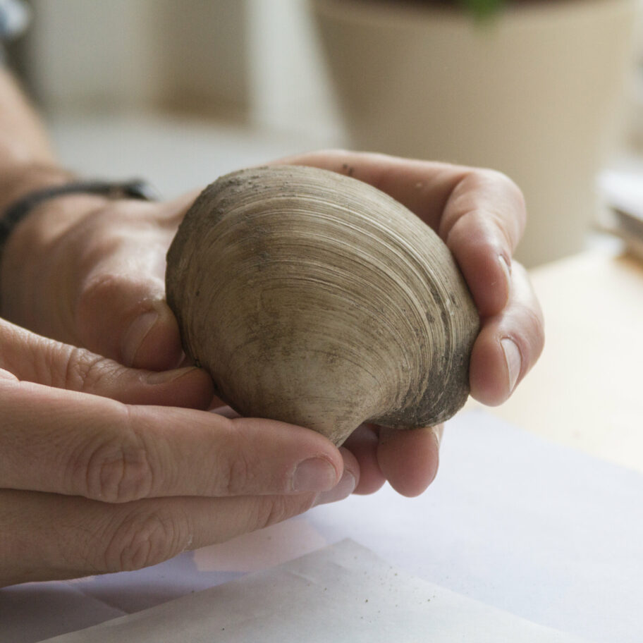 Summers warm up faster than winters, fossil shells from Antwerp show ...