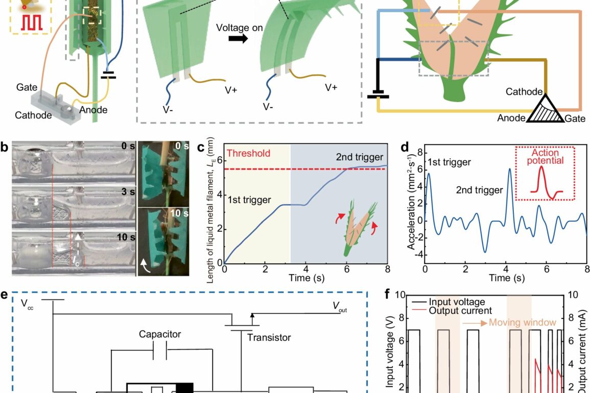 Physicist explains X-rays that shouldn't exist in 'cold' plasma - Tech ...