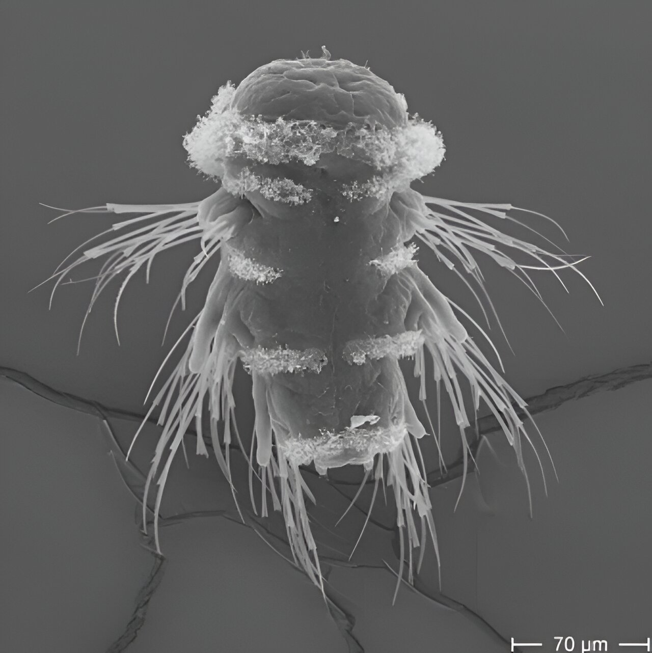 Lightning sparks scientists' design of ultraviolet-C device for food ...