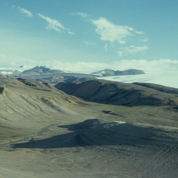 Three new extinct walnut species discovered in high Arctic mummified ...