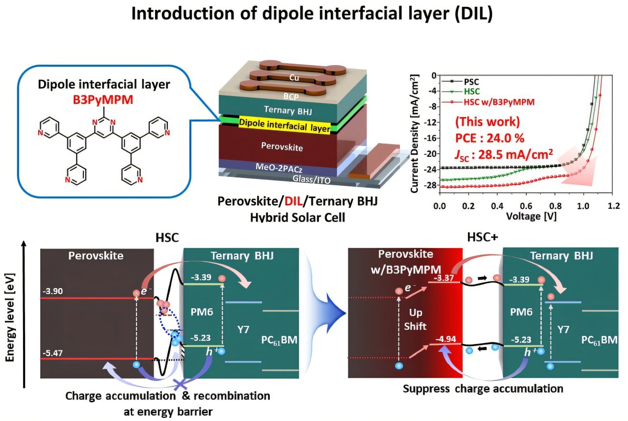 Researchers develop highly passivated TOPCon bottom cells for ...