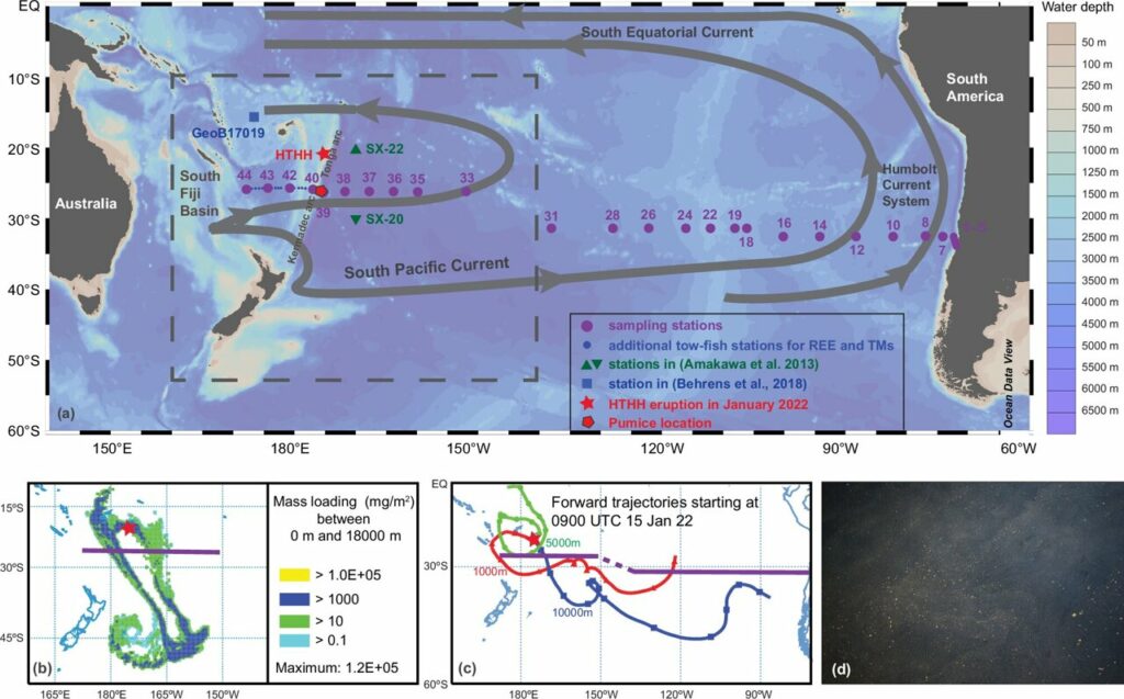Volcanic ash as a source of nutrients: How the Hunga Tonga eruption ...