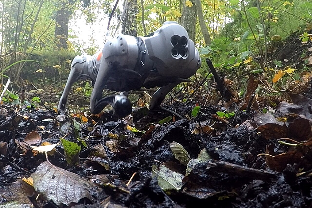 Robots can now walk through muddy and slippery terrain, thanks to moose ...