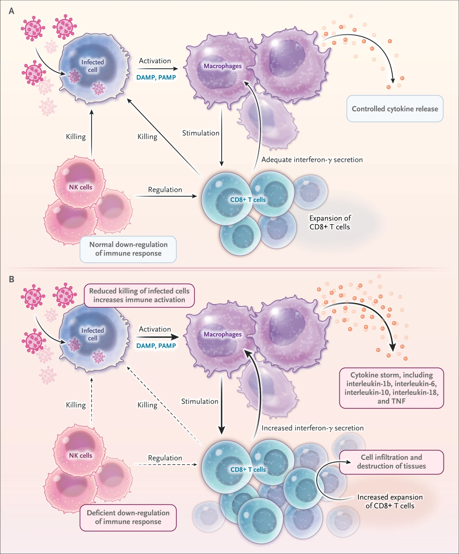 p53 is both your genome’s guardian and weakness against cancer ...