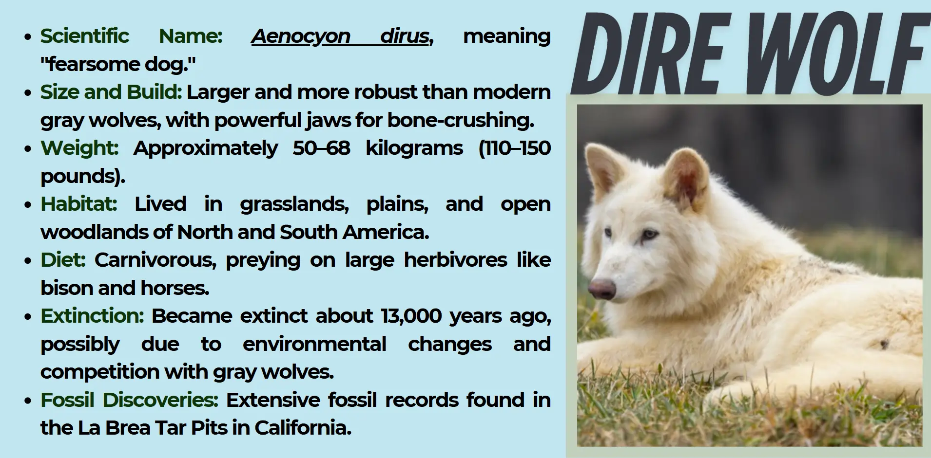 If it looks like a dire wolf, is it a dire wolf? How to define a ...