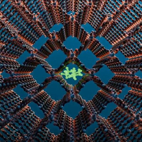 Does painting cows with stripes prevent fly bites? Researchers who ...